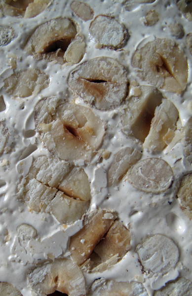 Focus on Gianduia, Part 25: Gianduia Season | DallasFood